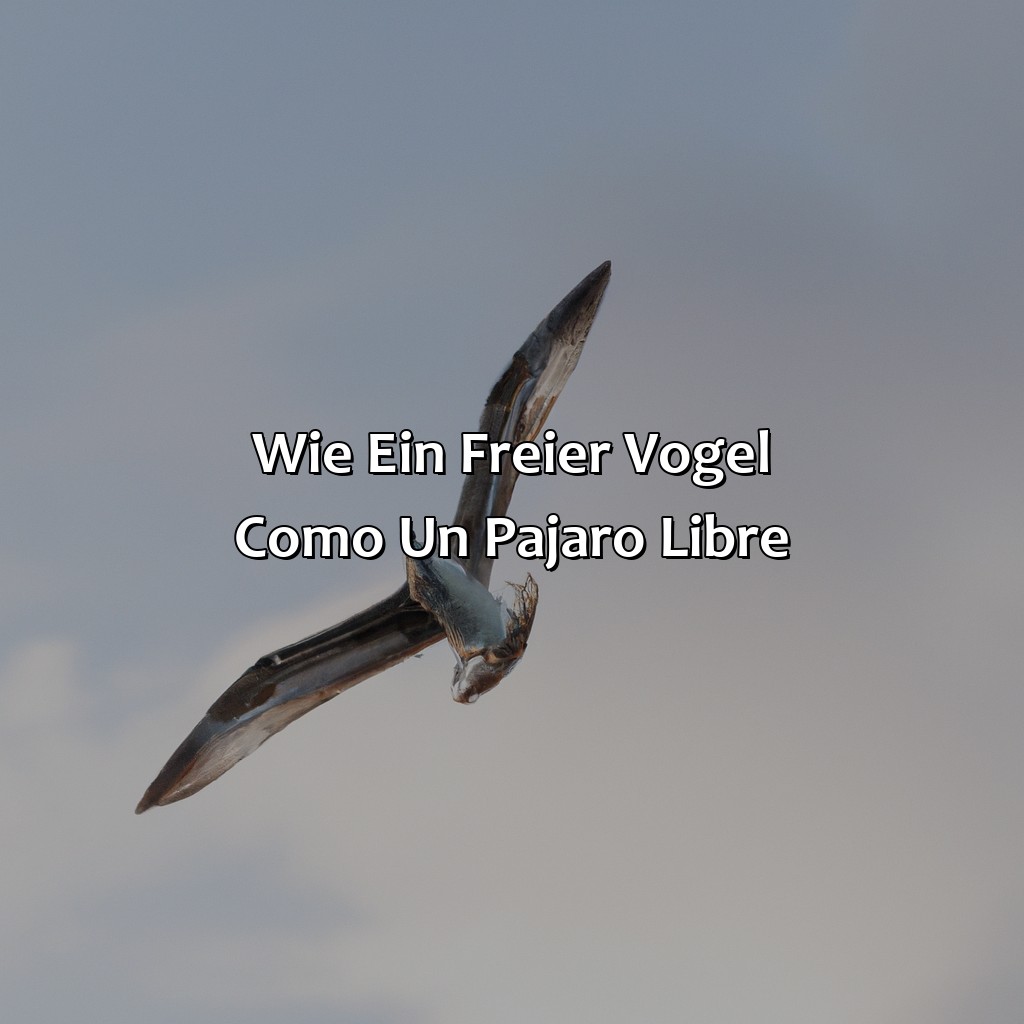 Wie Ein Freier Vogel – Como Un Pajaro Libre - VogelWunderland