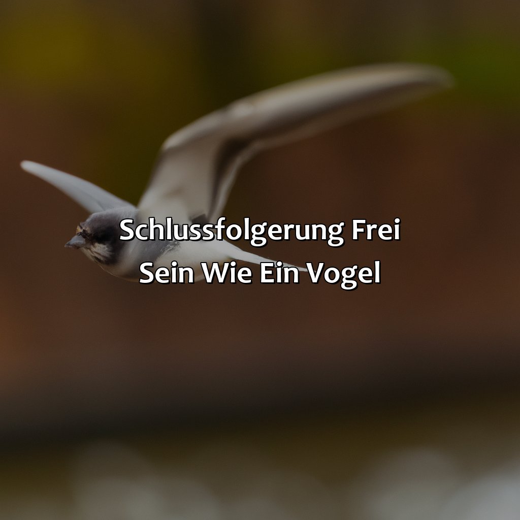 Wie Ein Freier Vogel – Como Un Pajaro Libre - VogelWunderland