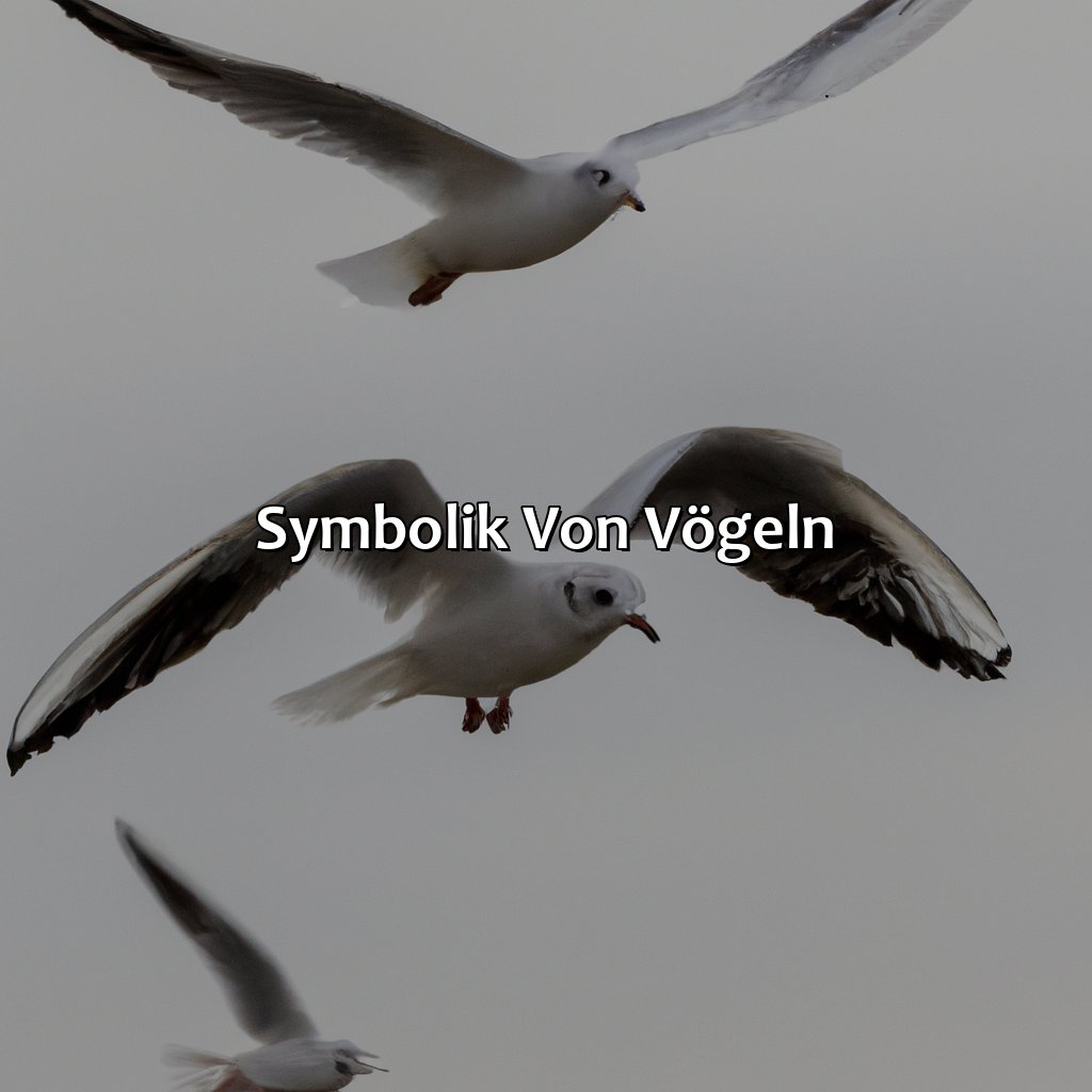 Wie Ein Freier Vogel – Como Un Pajaro Libre - VogelWunderland