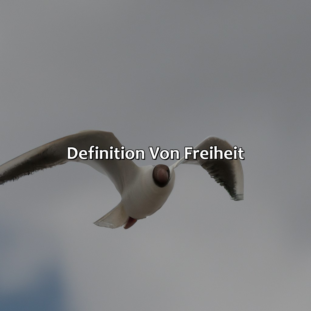 Wie Ein Freier Vogel – Como Un Pajaro Libre - VogelWunderland