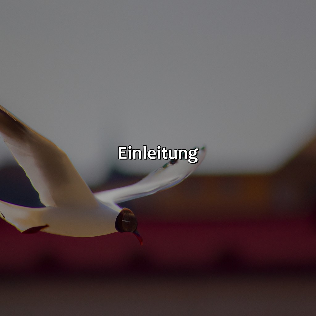 Wie Ein Freier Vogel – Como Un Pajaro Libre - VogelWunderland