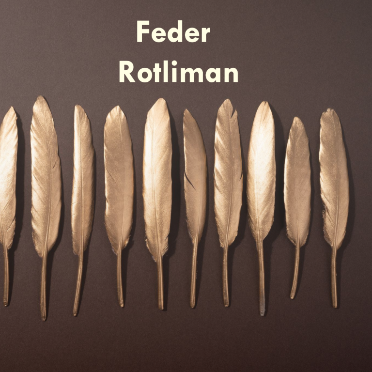 Feder Rotmilan:Deutschlands heimlicher Wappenvogel